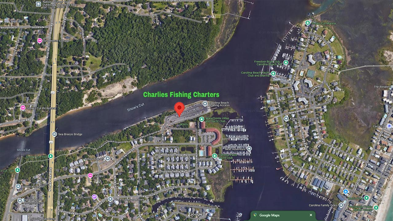 Charter Location - Carolina Beach, Charlies Fishing Charters